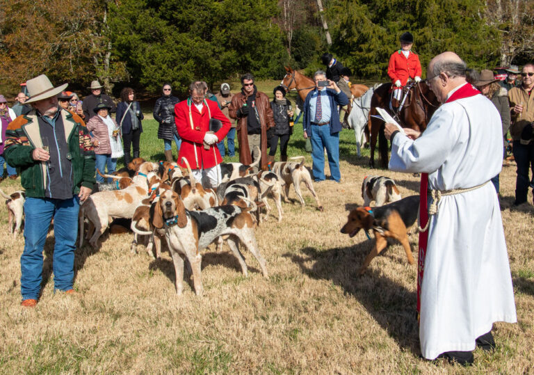 Opening Meet – Green Creek Hounds
